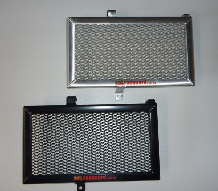 BMW F800GT 2013-2019 Radiator Guard – Adventure On Store