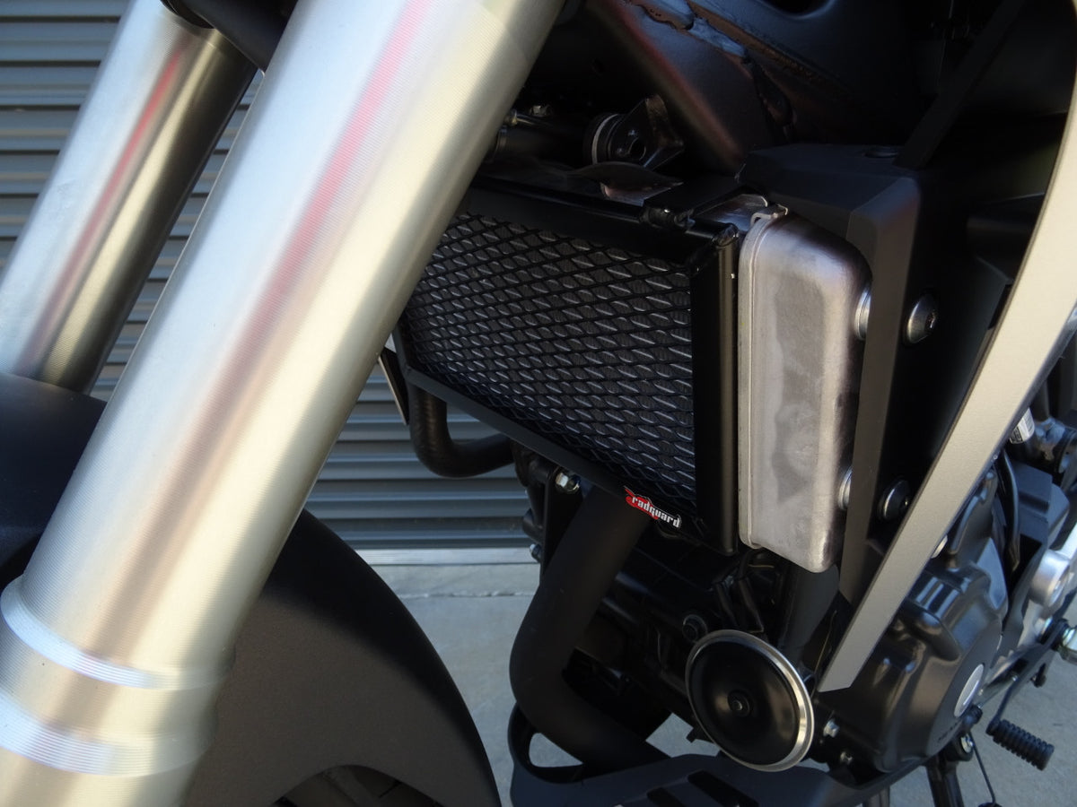 Honda CB 300R 2018-2023 Radiator Guard – Adventure On Store